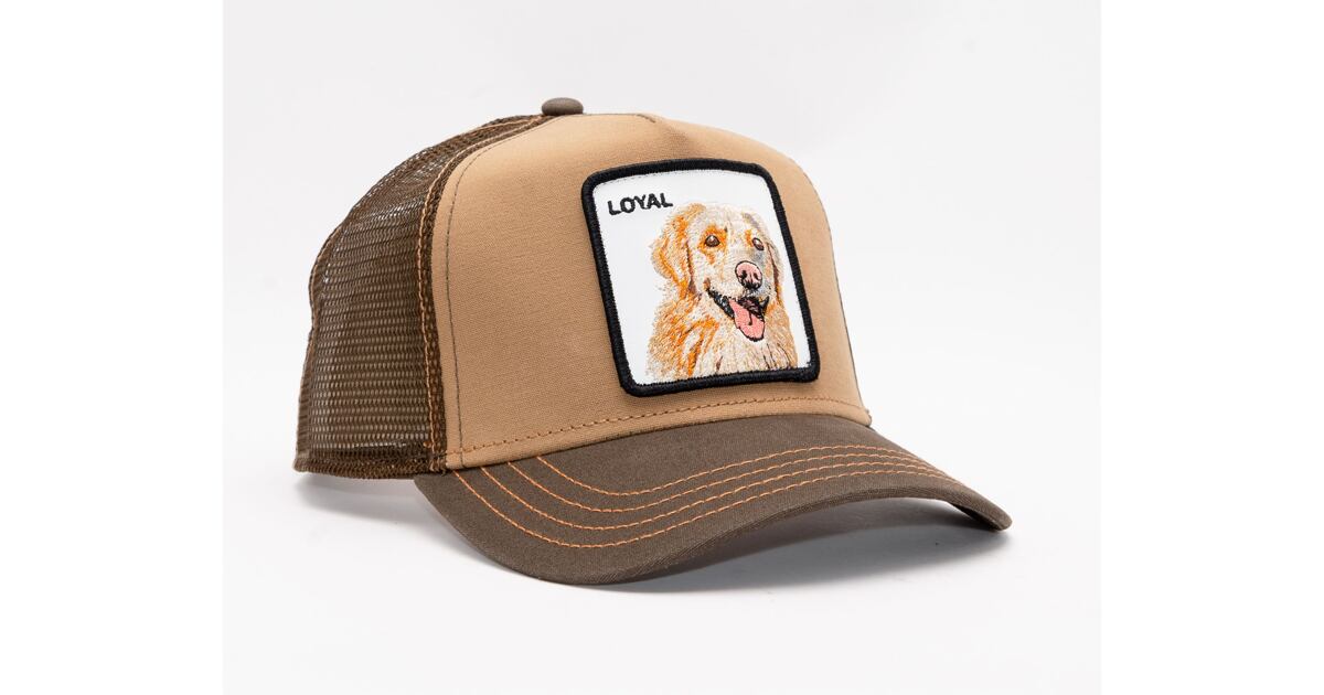 Kšiltovka Goorin Bros The Loyal Dog Trucker Brown - Snapbacks